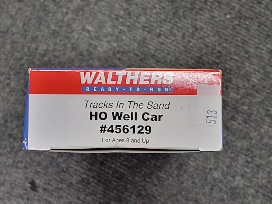 Walthers HO Scale Tracks in the Sand 48" Well Car with Containers DTTX — White Rose Hobbies