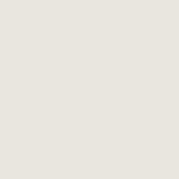 Tru-Color 1204 FS36440 Light Gull Gray 1oz Acrylic Model Paint — White ...