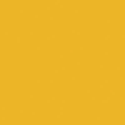 Tru-Color 524 High Gloss Chrome Yellow, 1 oz. Acrylic Model Paint ...