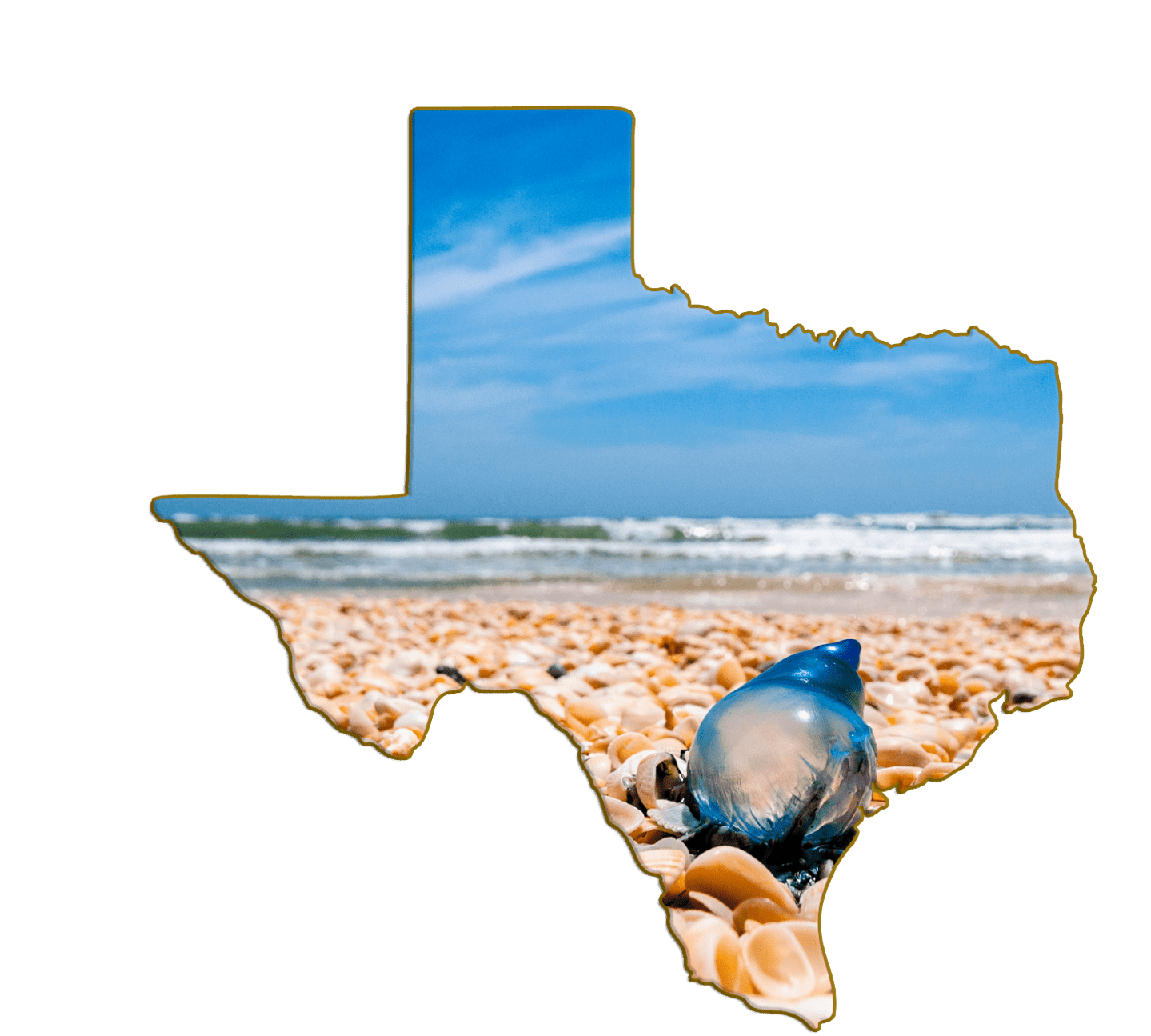 Wimberley Puzzle Company Big Shell Beach | Padre Island | Texas Shaped ...