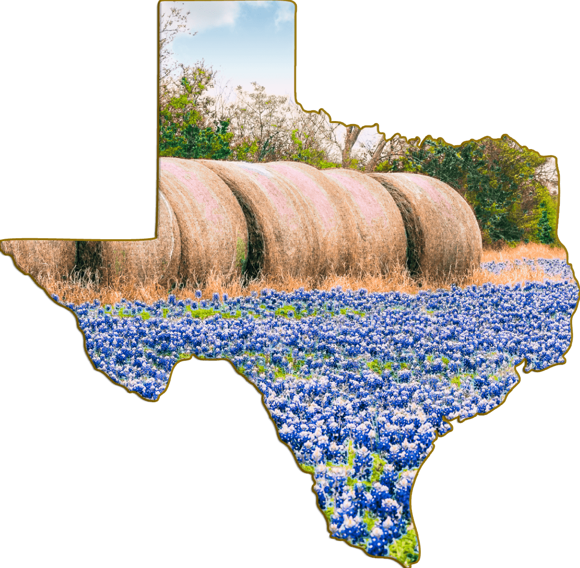Wimberley Puzzle Company Bluebonnets and Hay Bales | Texas Shaped Magn ...