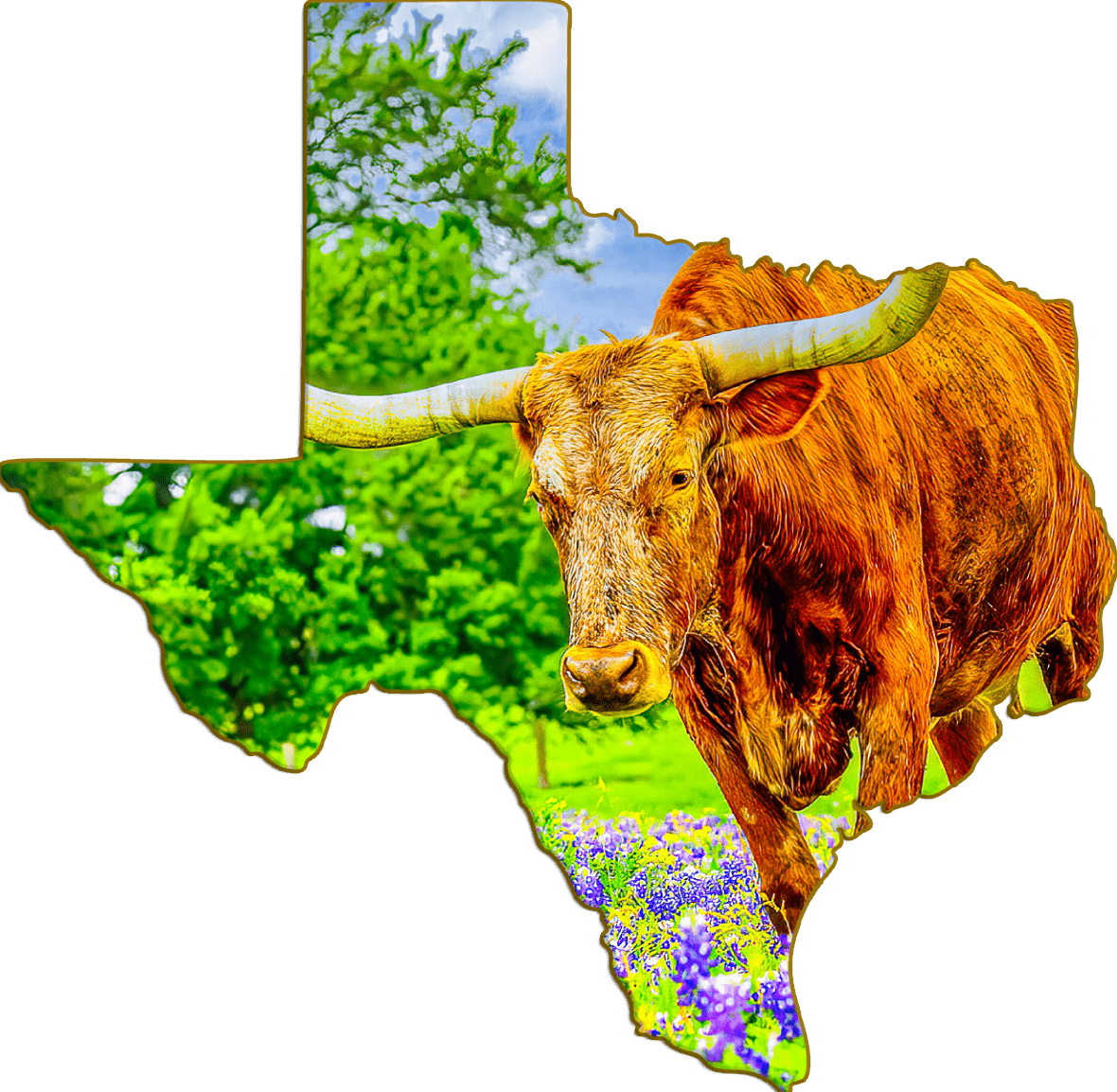 Wimberley Puzzle Company Texas Longhorn and Bluebonnets | Texas-Shaped ...