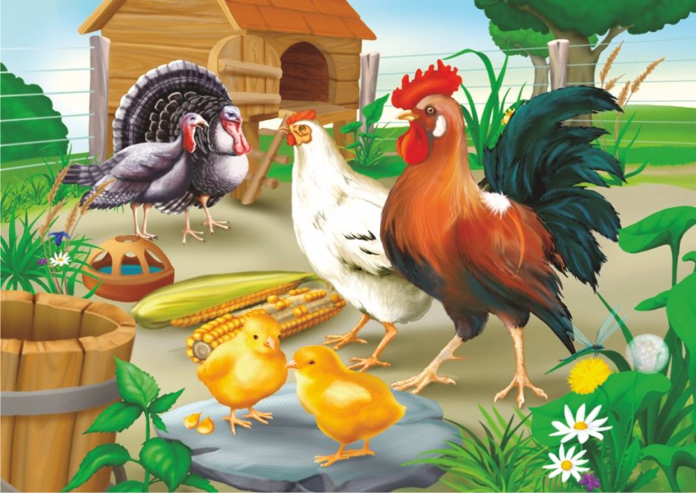 D-Toys 60198AN01 (41-07649) Rooster and Hen 35 Piece Jigsaw Puzzle ...