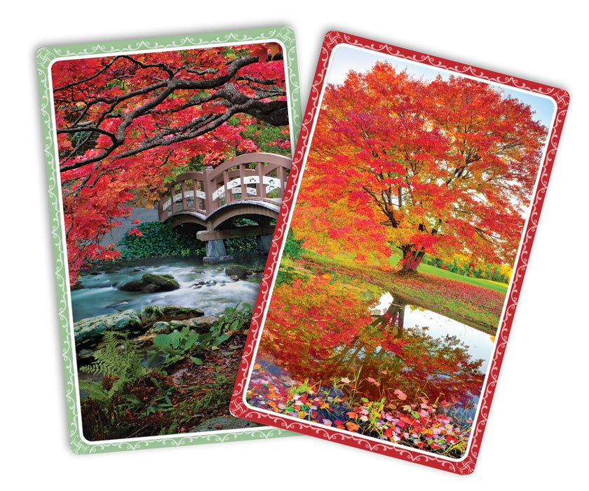 Springbok 91-73069 Reflections Standard Playing Cards — White Rose Hobbies